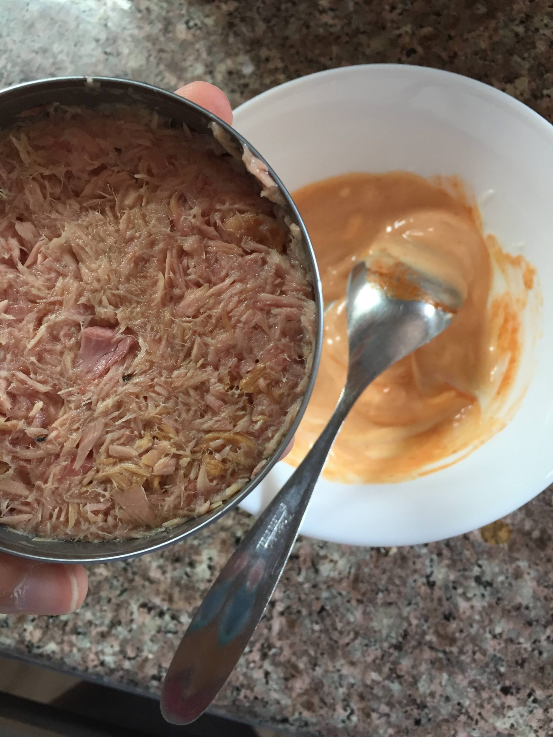Try With Me: Spicy Tuna Melt - Mostly Masala